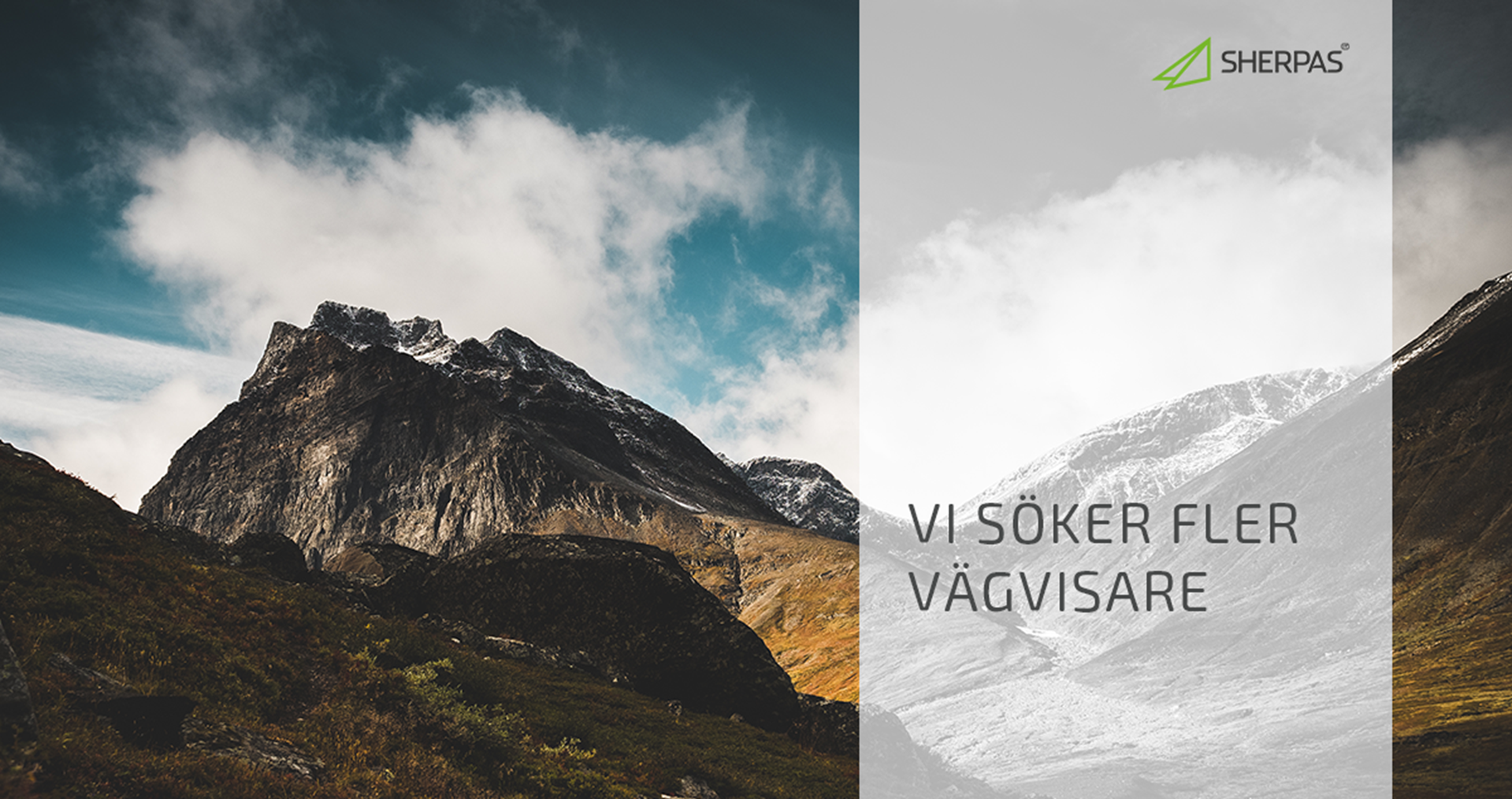 Jobba med oss - Sherpas